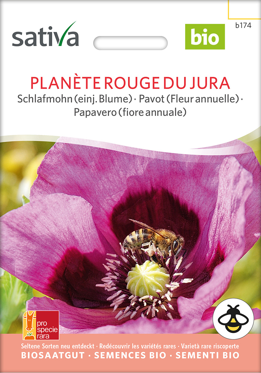 Planète Rouge du Jura - Papaver somniferum, bio im Stadtpflanze-Shop kaufen